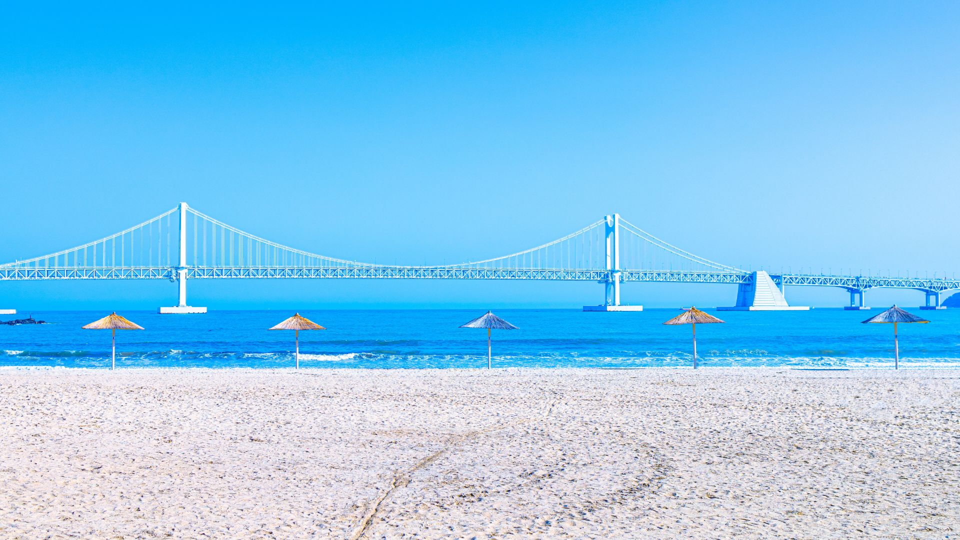 Busan Holidays | 2024 / 2025 | Travelbag