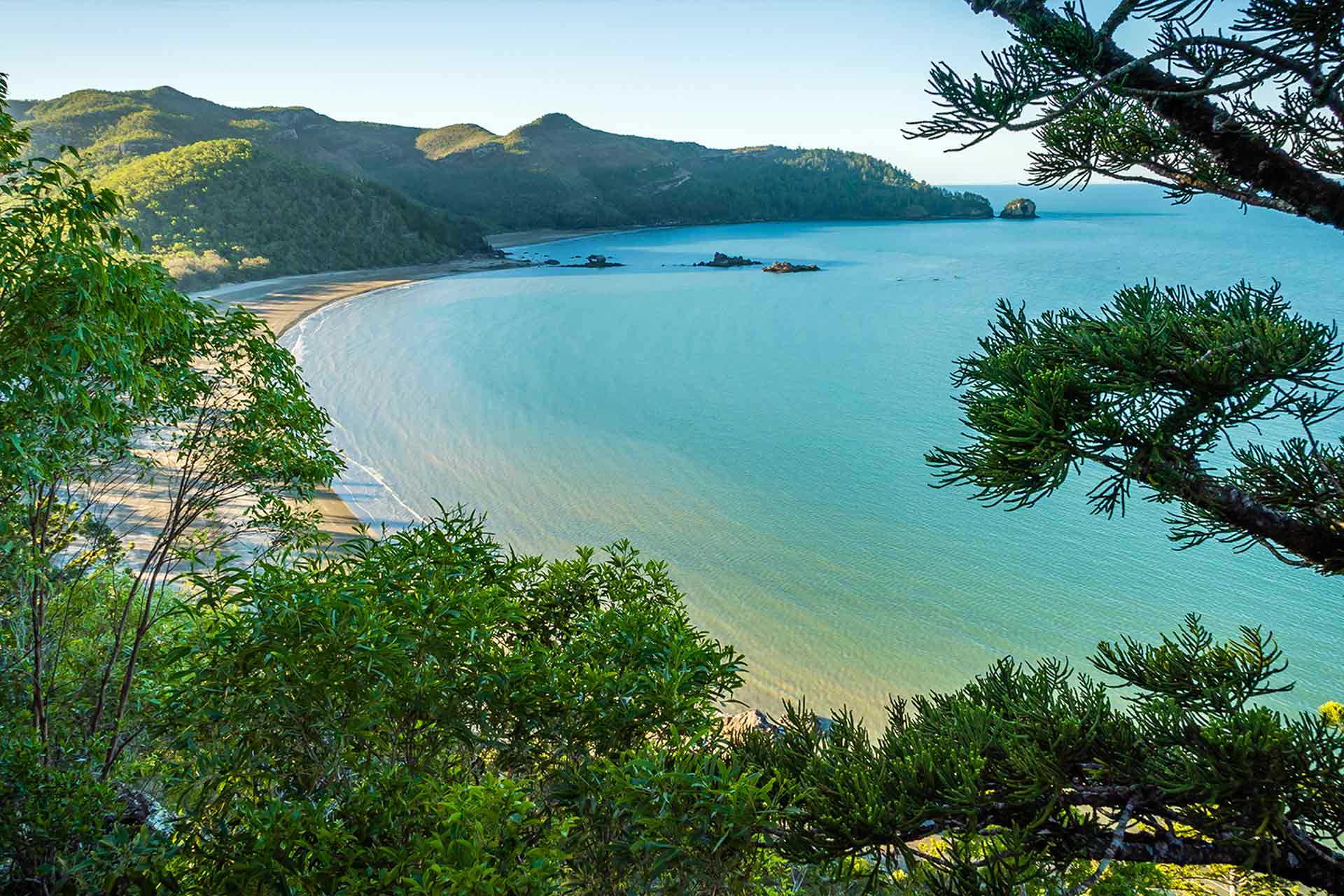 Victoria’s Best Nature and Wildlife Experiences | Travelbag