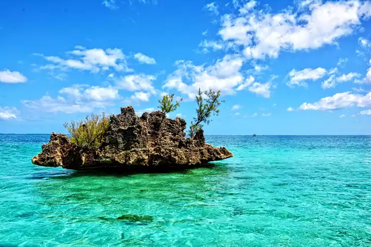 Wild Mauritius | 2026 / 2027 | Travelbag