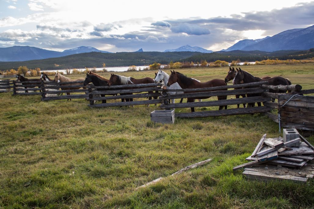 Terra Nostra Guest Ranch | 2026 / 2027 | Travelbag