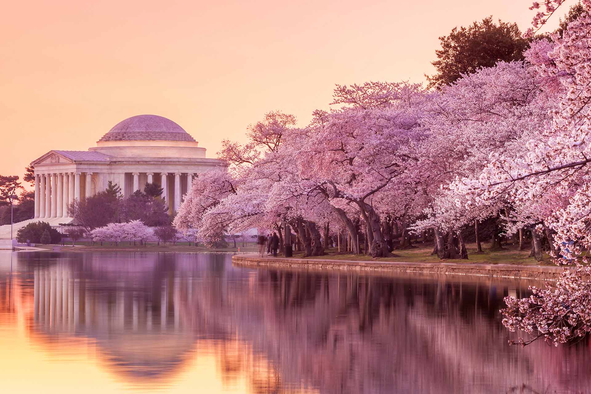 The Best Destinations to Visit in Spring | Travelbag