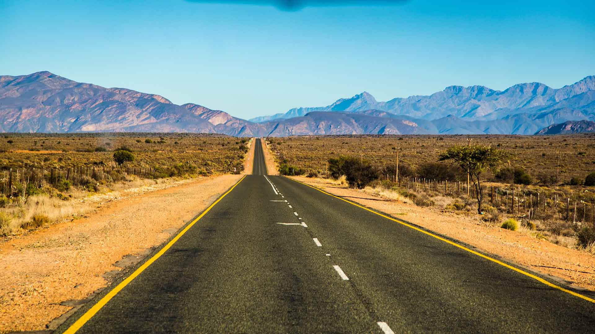 4 Day Garden Route Highlights | 2026 / 2027 | Travelbag