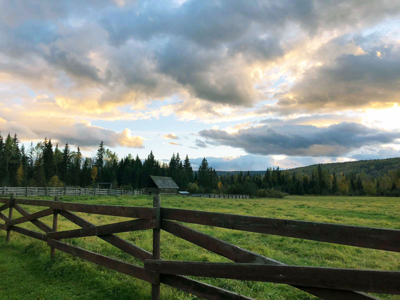 Wells Gray Ranch | 2025 / 2026 | Travelbag