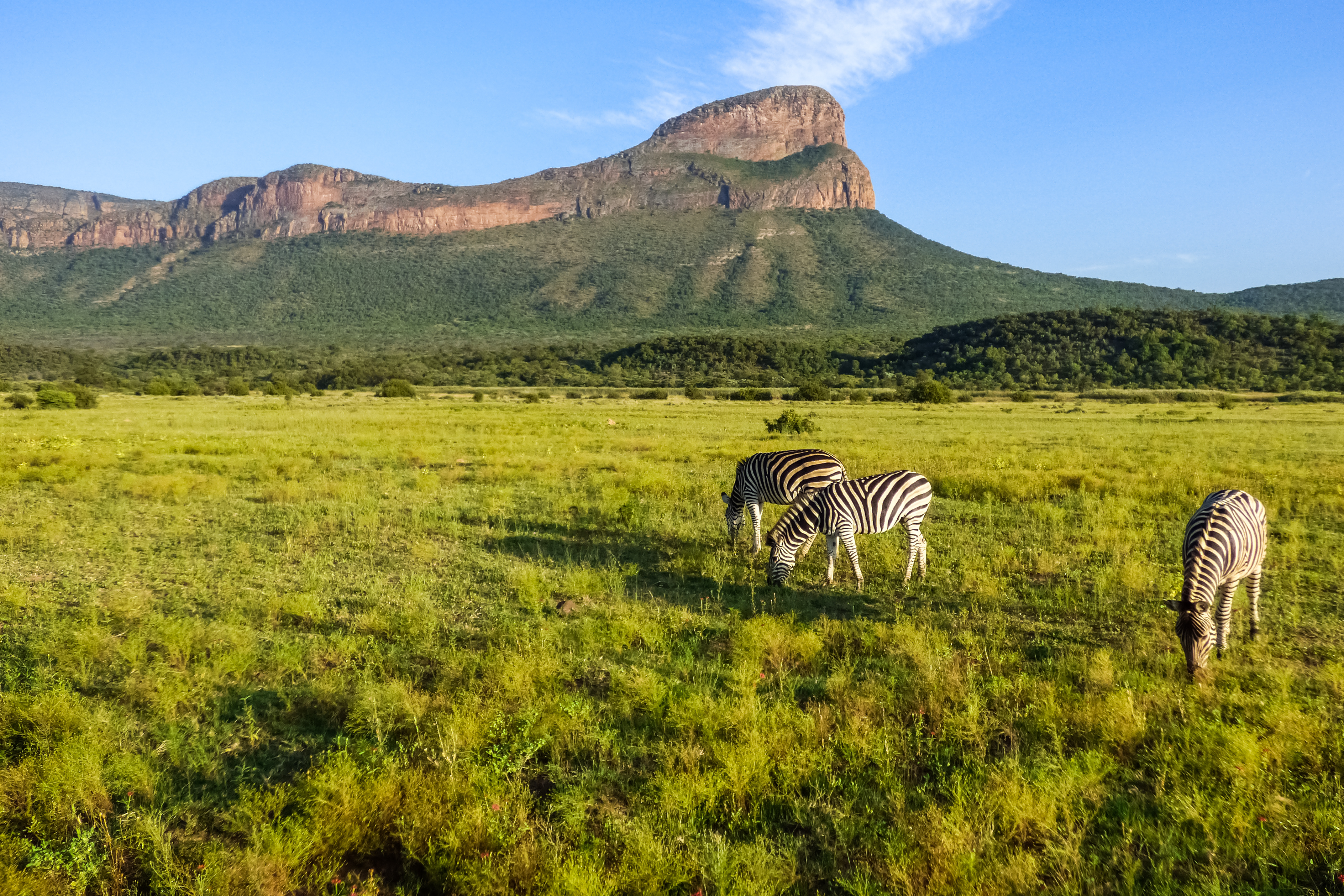 The Waterberg District Holidays | 2026 / 2027 | Travelbag