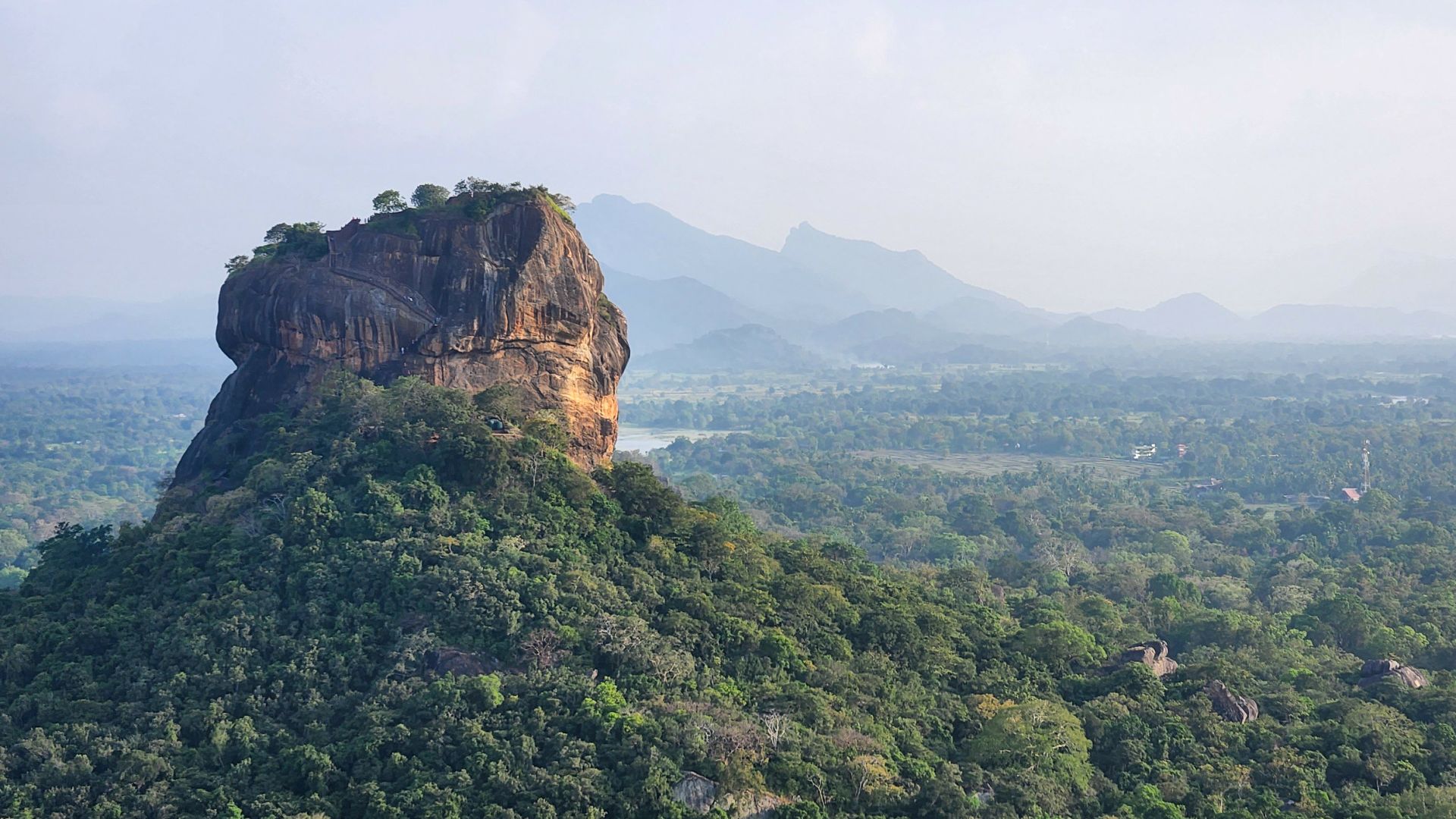 12 Day Wilpattu, Cultural Triangle and Pasikudah | 2024 / 2025 | Travelbag
