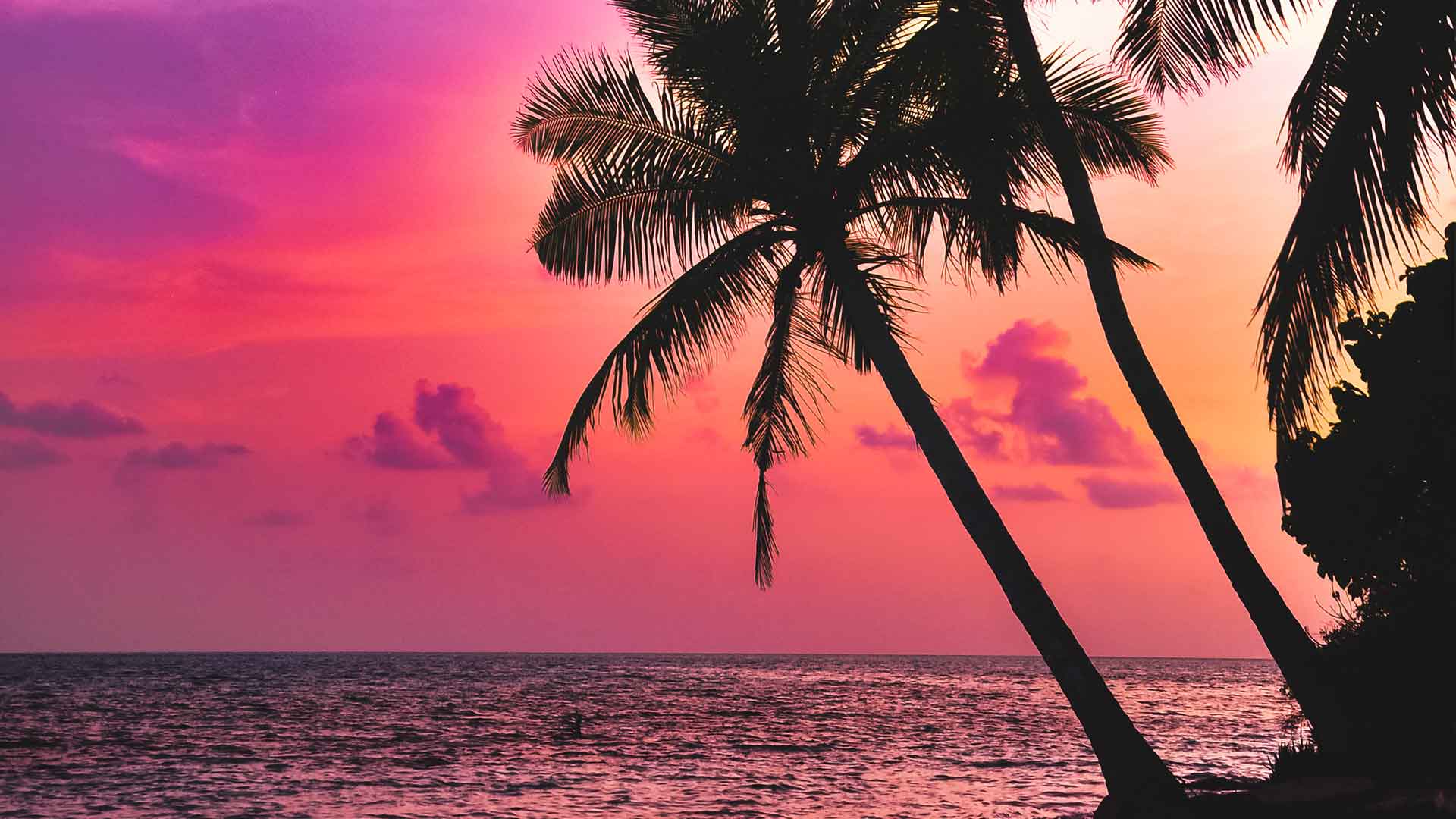 Escape Magazine - Winter 2024 Issue | 2026 / 2027 | Travelbag