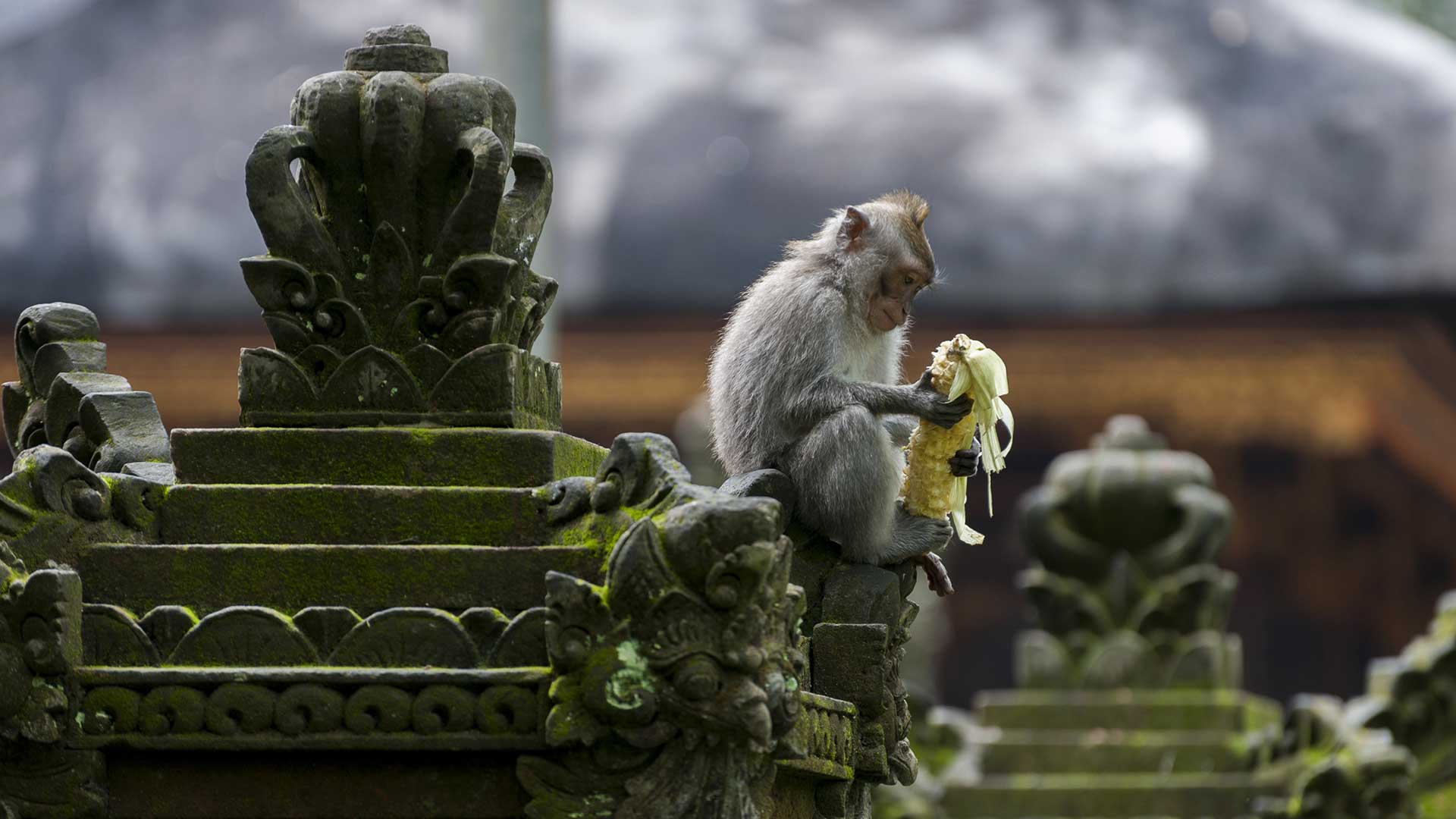 The most misidentified flags | Travelbag