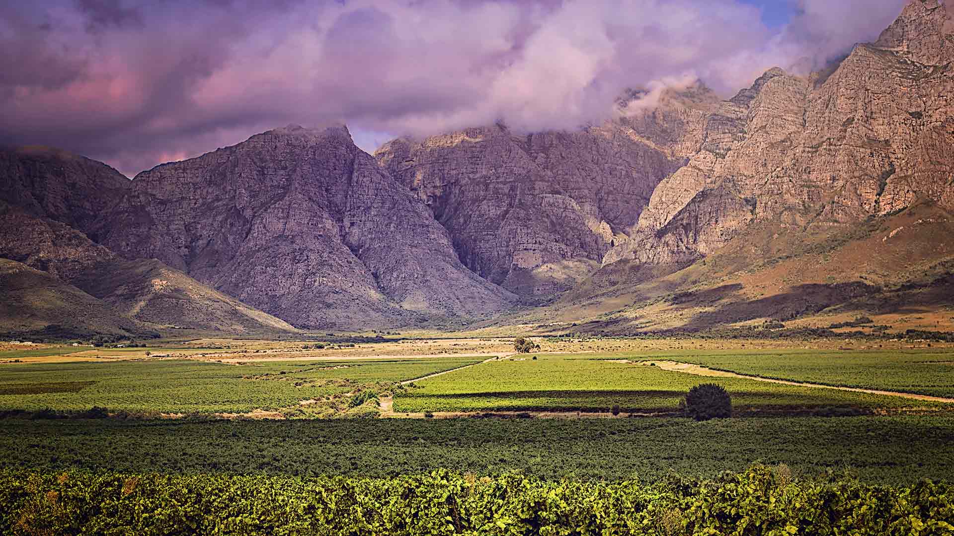 6 Day Garden Route Splendour | 2026 / 2027 | Travelbag