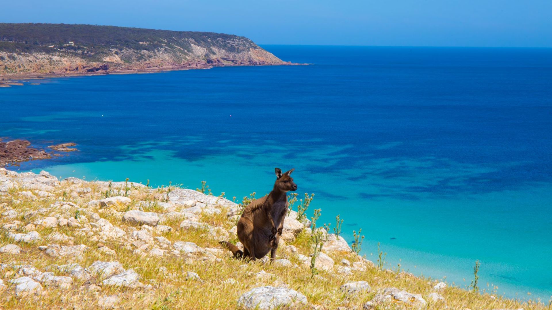 Our Top Picks for An Australian Holiday | Travelbag