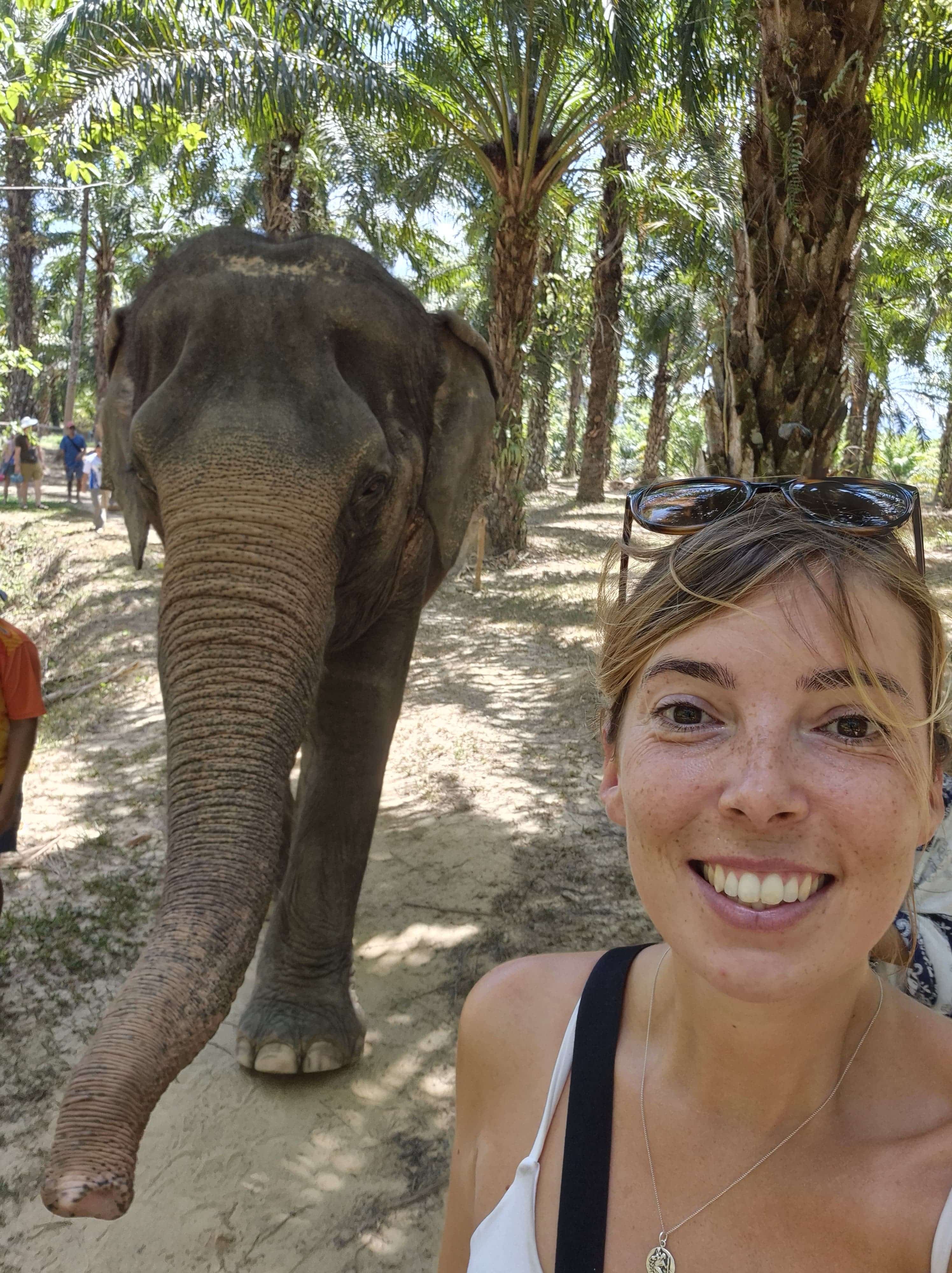 Cobham Shop | 2025 / 2026 | Travelbag