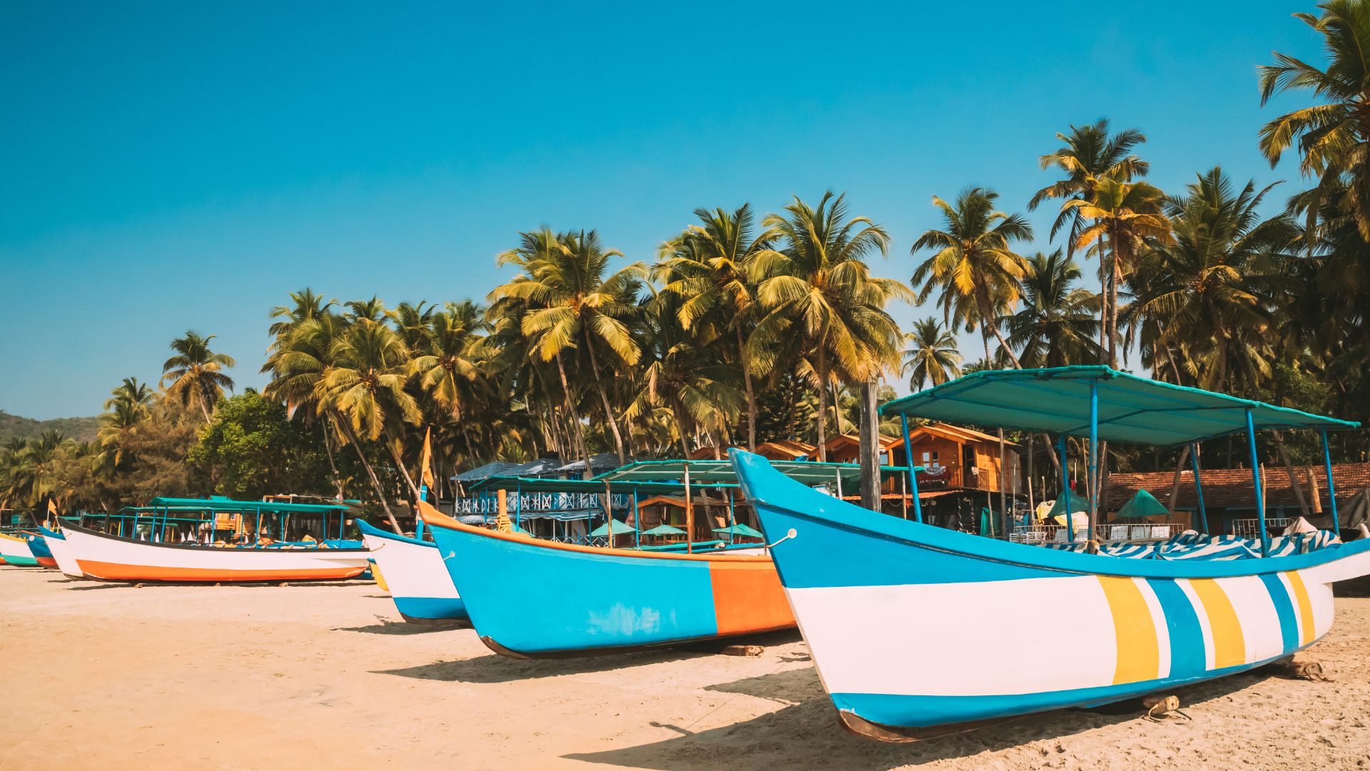 13 Day India's Golden Triangle with Tigers and Goa Beaches | 2026 / ...