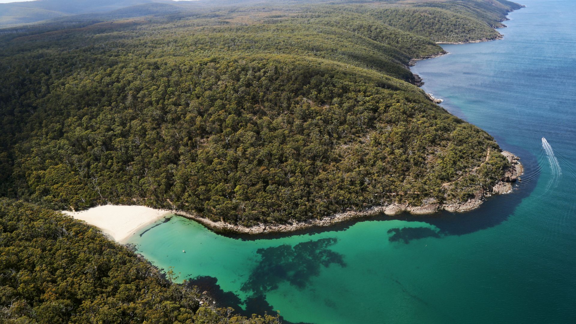 Tasmania National Parks holidays | 2024 / 2025 | Travelbag